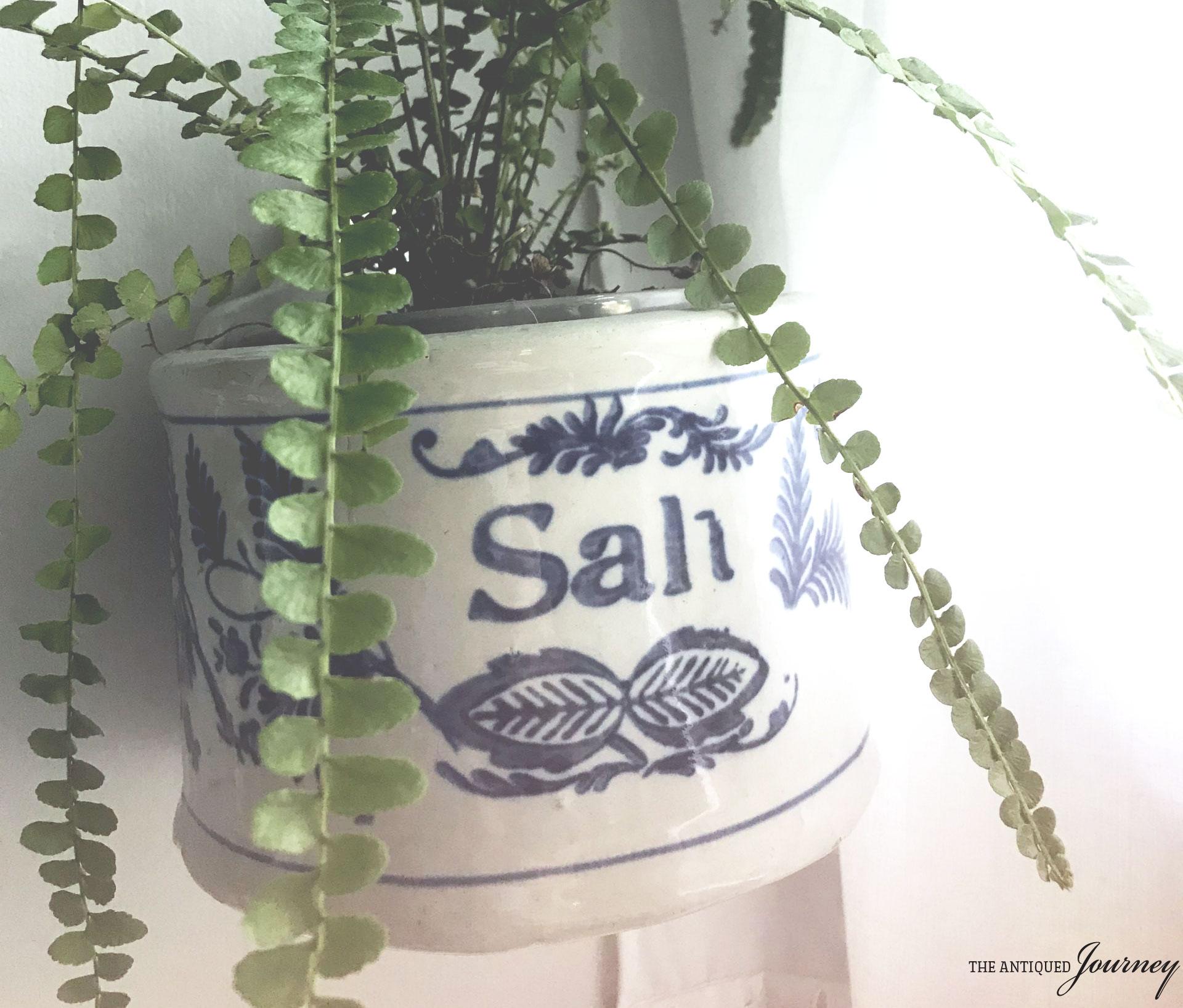 Creative Uses For Antique Salt Boxes - The Antiqued Journey