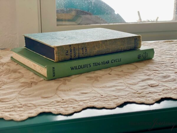 How To Create A Vignette Display - The Antiqued Journey