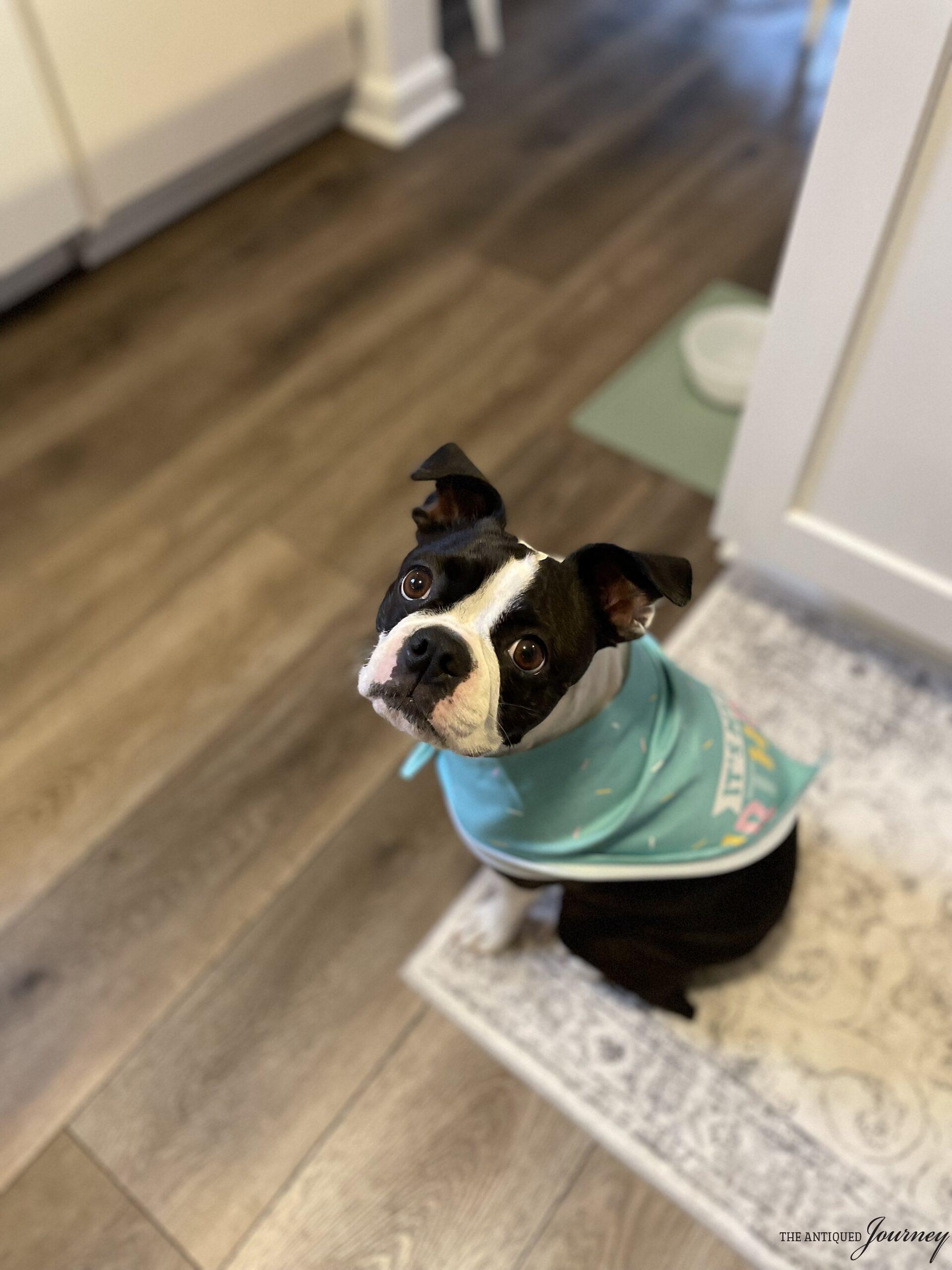 Journey Jots #54 - The Antiqued Journey