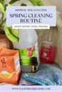 Healthy Spring Cleaning Tips: Natural Ways to Freshen Your Home - The ...